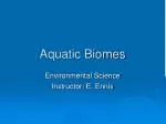 PPT - AQUATIC BIOMES PowerPoint Presentation, free download - ID:1425968