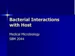 PPT - Host-Pathogen Interactions PowerPoint Presentation, free download ...