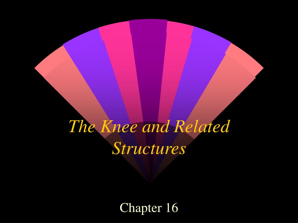 PPT - The Knee and Related Structures PowerPoint Presentation, free ...