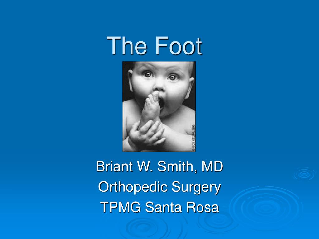 PPT - The Foot PowerPoint Presentation, free download - ID:5358