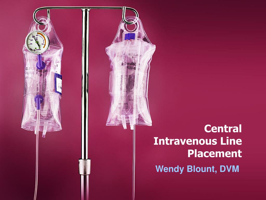 PPT - Central Intravenous Line Placement PowerPoint Presentation, free ...