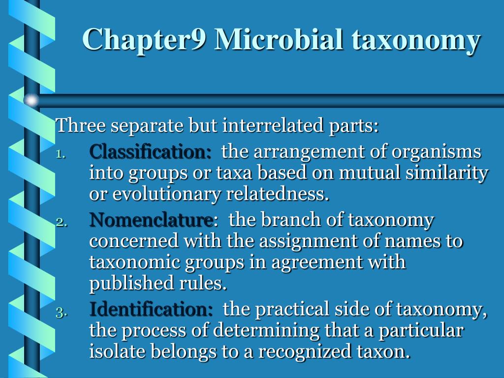 PPT - Chapter9 Microbial taxonomy PowerPoint Presentation, free ...