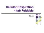 PPT - Cellular Respiration 4 tab Foldable PowerPoint Presentation, free ...
