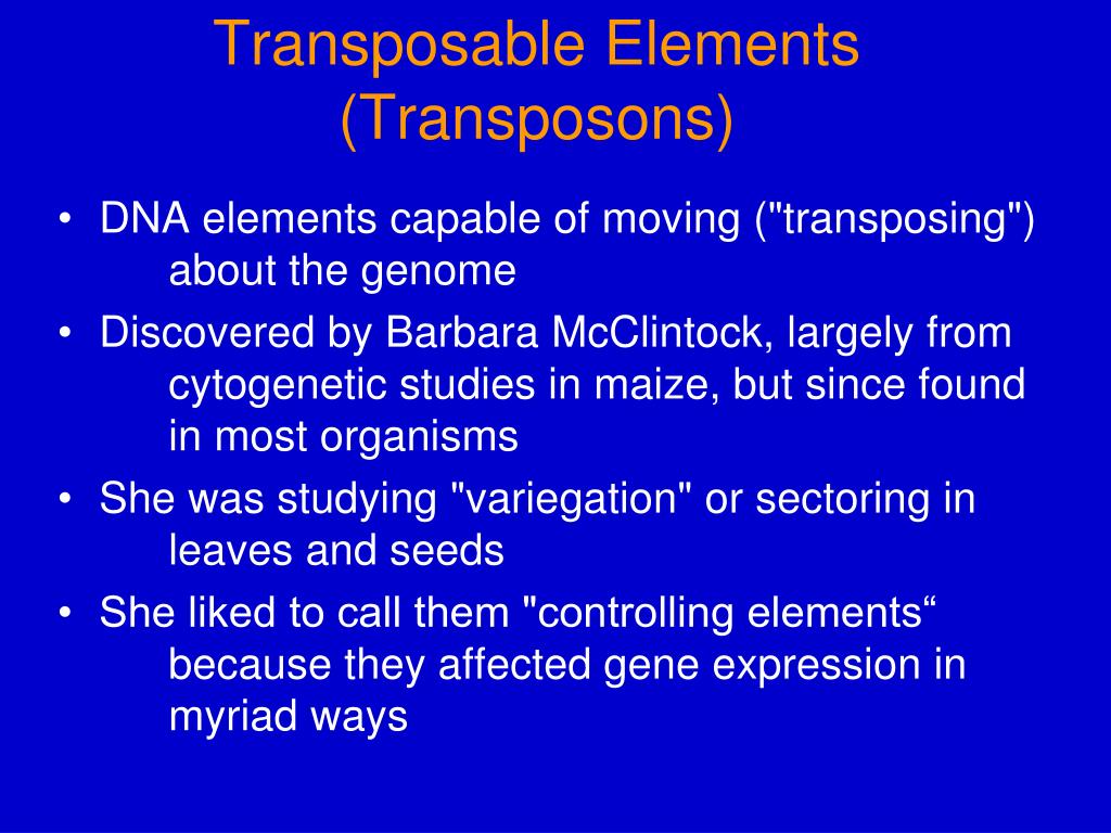 PPT - Transposable Elements (Transposons) PowerPoint Presentation, free ...