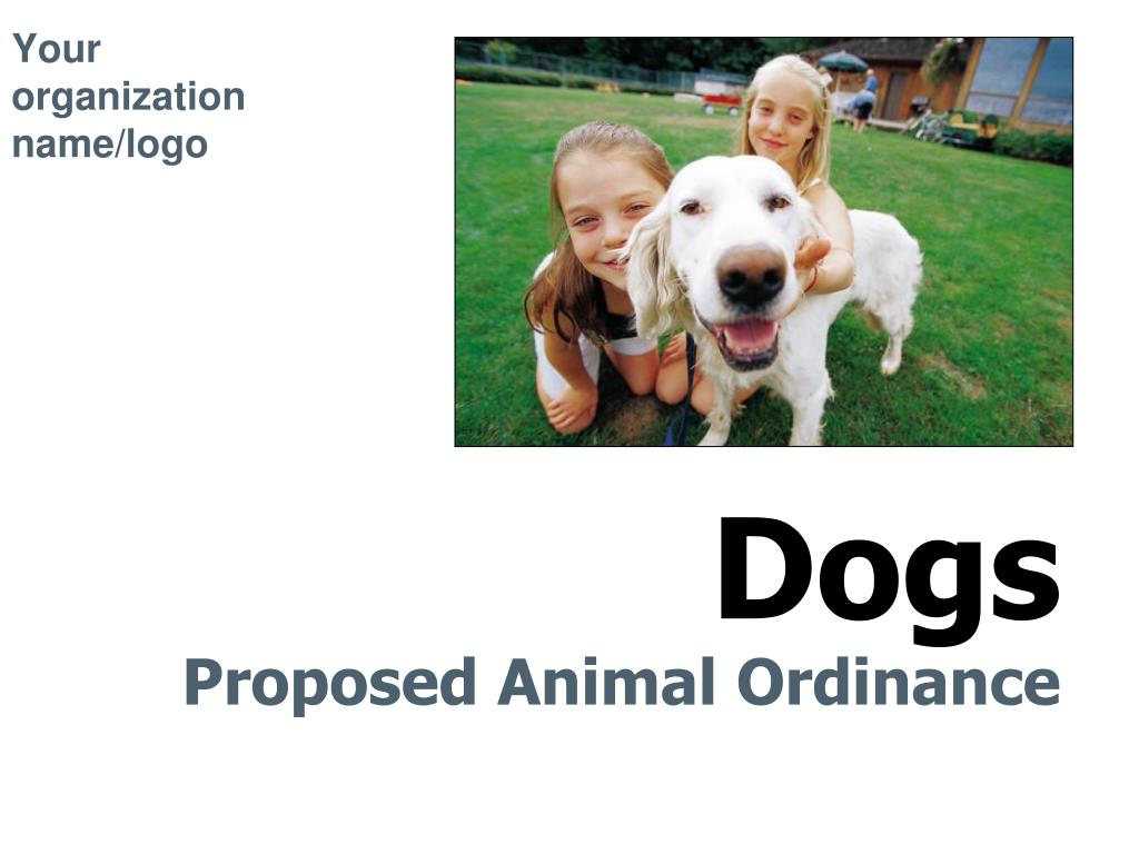 PPT - Your organization name/logo PowerPoint Presentation, free ...