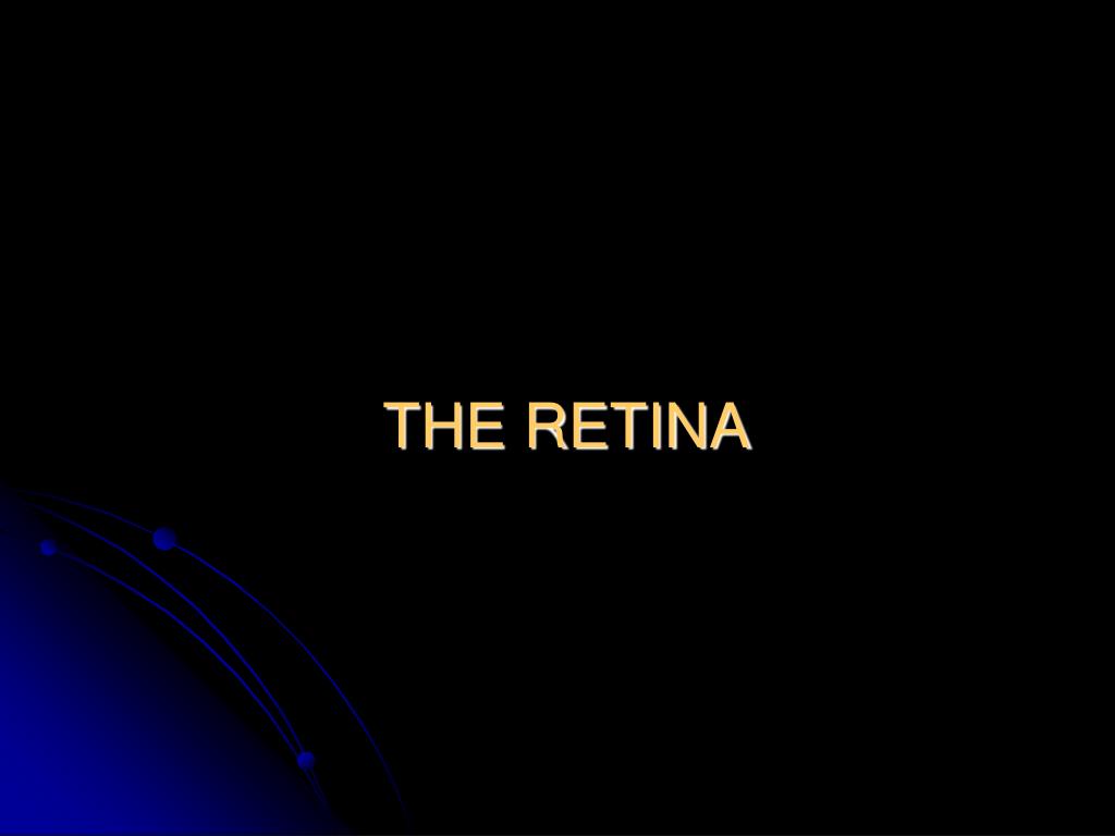 PPT - THE RETINA PowerPoint Presentation, free download - ID:544956