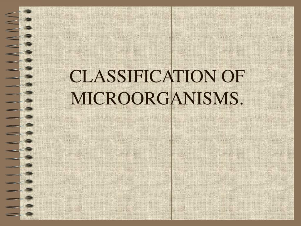 PPT - CLASSIFICATION OF MICROORGANISMS. PowerPoint Presentation, free ...