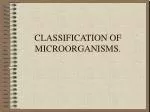 PPT - Classification of Microorganisms PowerPoint Presentation, free download - ID:223055