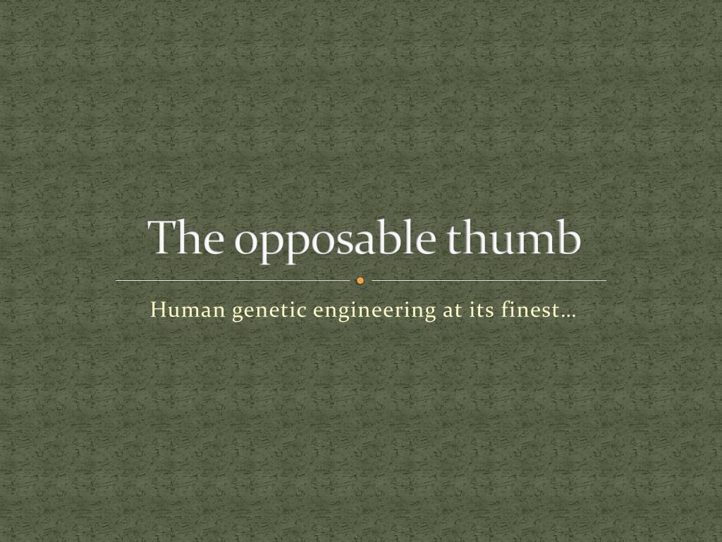 PPT - The opposable thumb PowerPoint Presentation, free download - ID ...