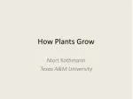 PPT - HOW PLANTS SURVIVE PowerPoint Presentation, free download - ID ...