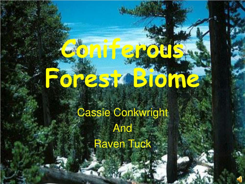 PPT - Coniferous Forest Biome PowerPoint Presentation, free download ...