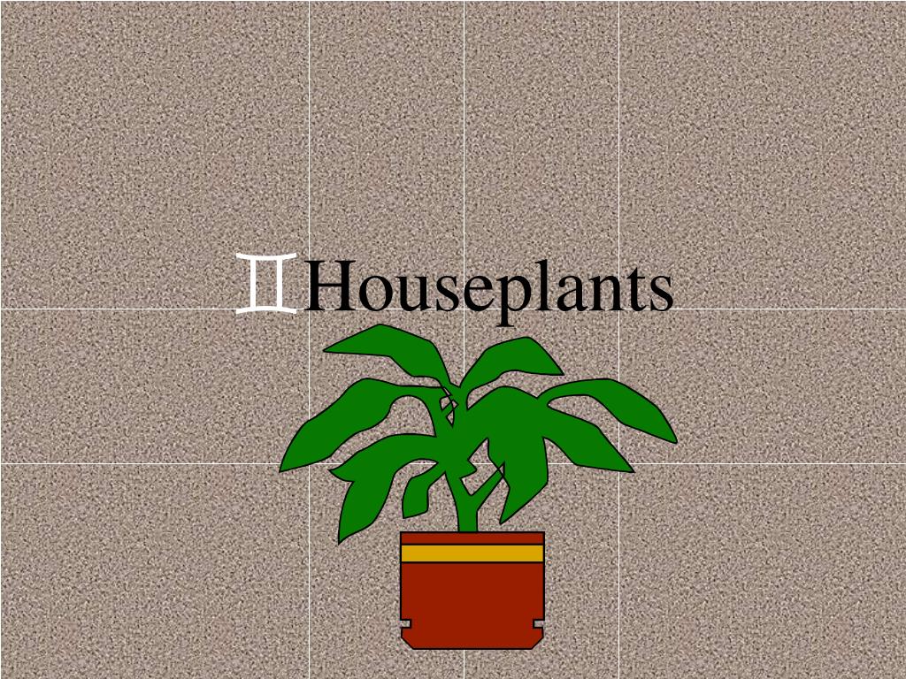 PPT - Houseplants PowerPoint Presentation, free download - ID:559723