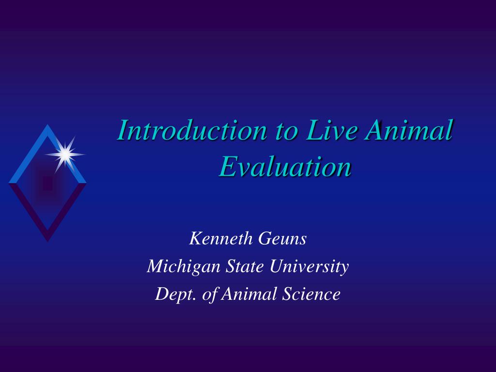 PPT - Introduction to Live Animal Evaluation PowerPoint Presentation ...