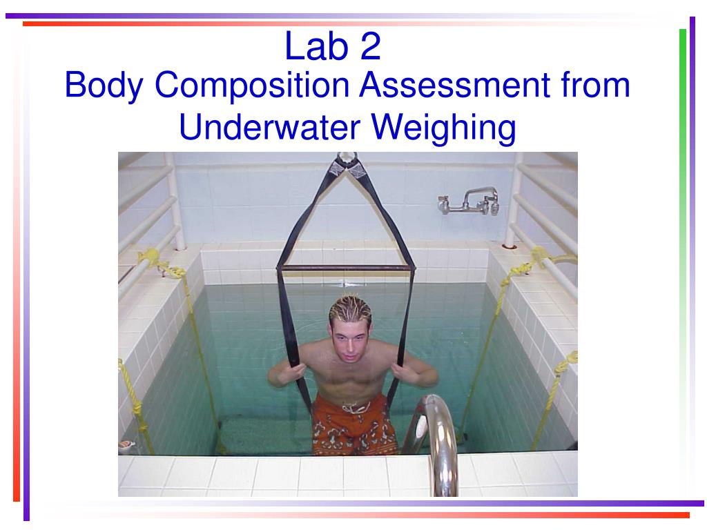 PPT - Lab 2 PowerPoint Presentation, free download - ID:570765