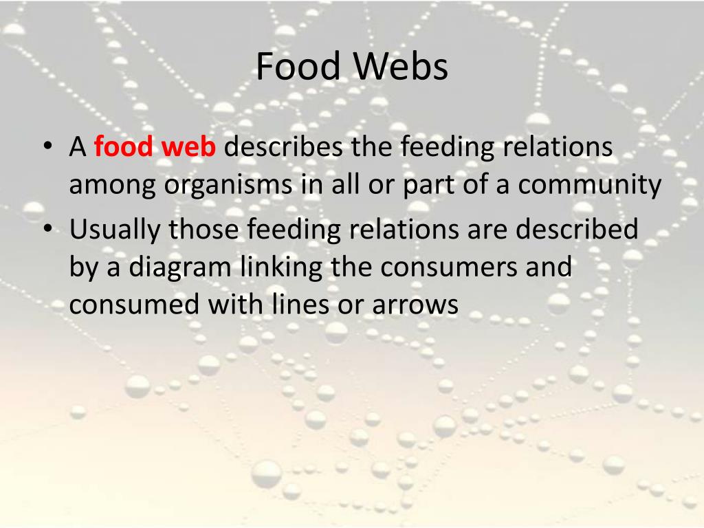 PPT - Food Webs PowerPoint Presentation, free download - ID:572266