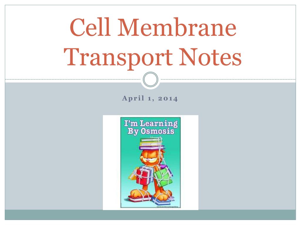 PPT - Cell Membrane Transport Notes PowerPoint Presentation, free ...