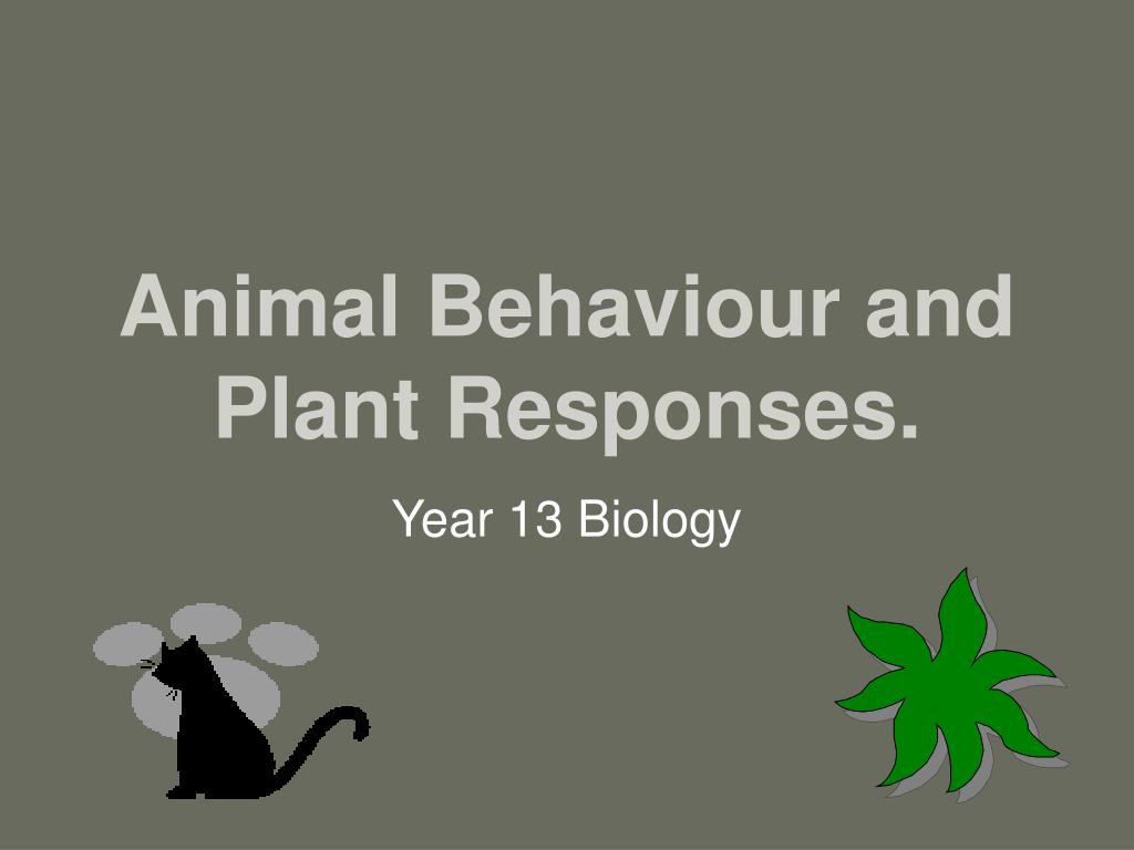 PPT - Animal Behaviour and Plant Responses. PowerPoint Presentation ...