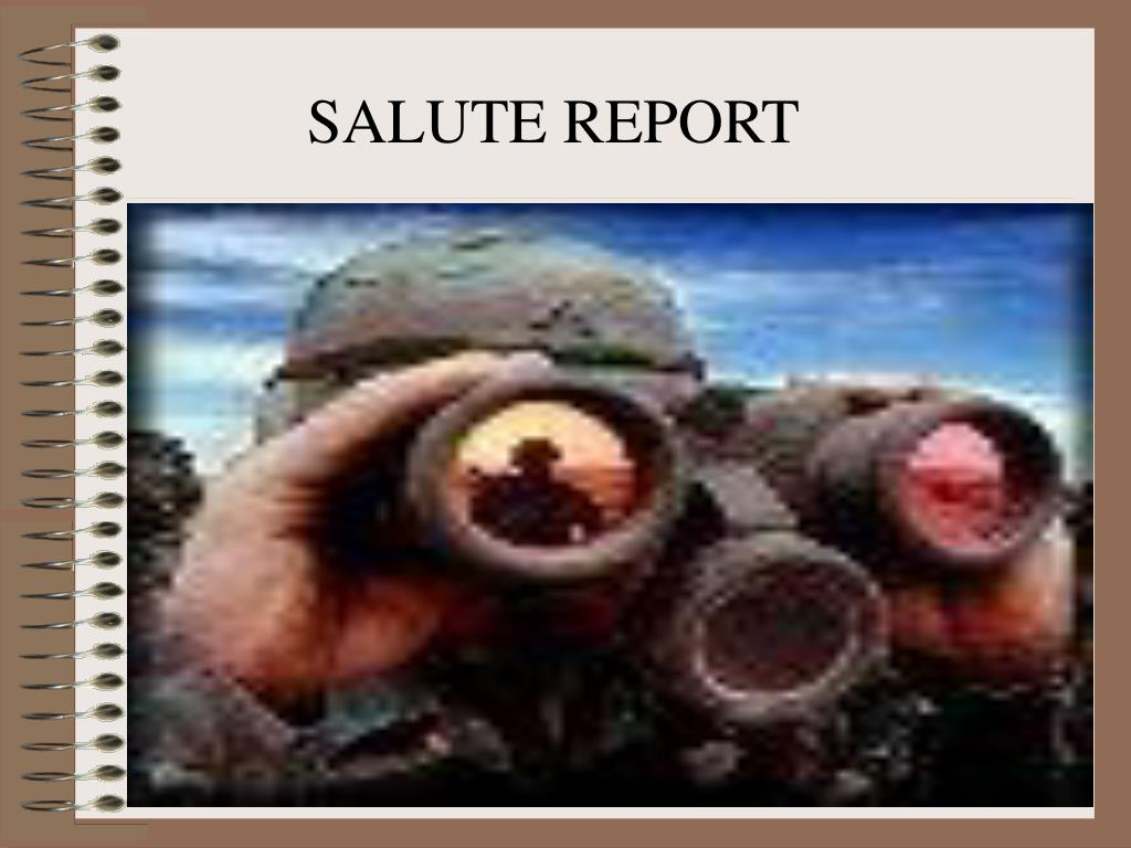 PPT - SALUTE REPORT PowerPoint Presentation, free download - ID:580171