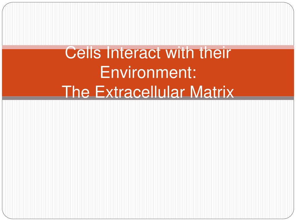 PPT - Cells Interact with their Environment: The Extracellular Matrix ...