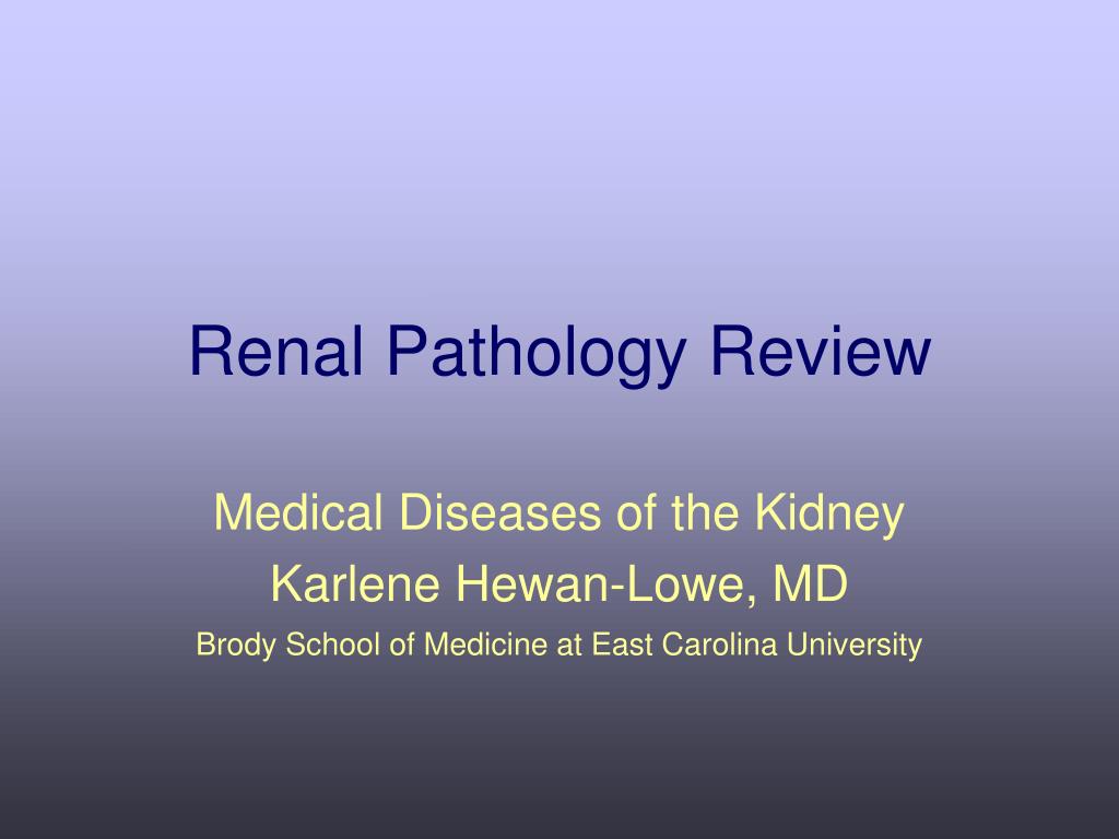 PPT - Renal Pathology Review PowerPoint Presentation, free download ...