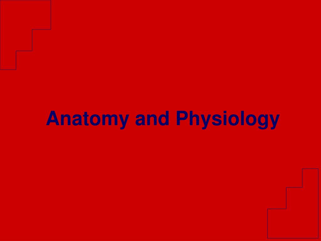 PPT - Anatomy and Physiology PowerPoint Presentation, free download ...