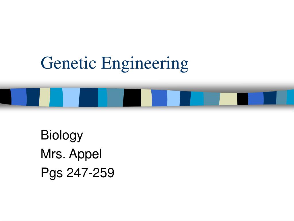 PPT - Genetic Engineering PowerPoint Presentation, free download - ID:58420