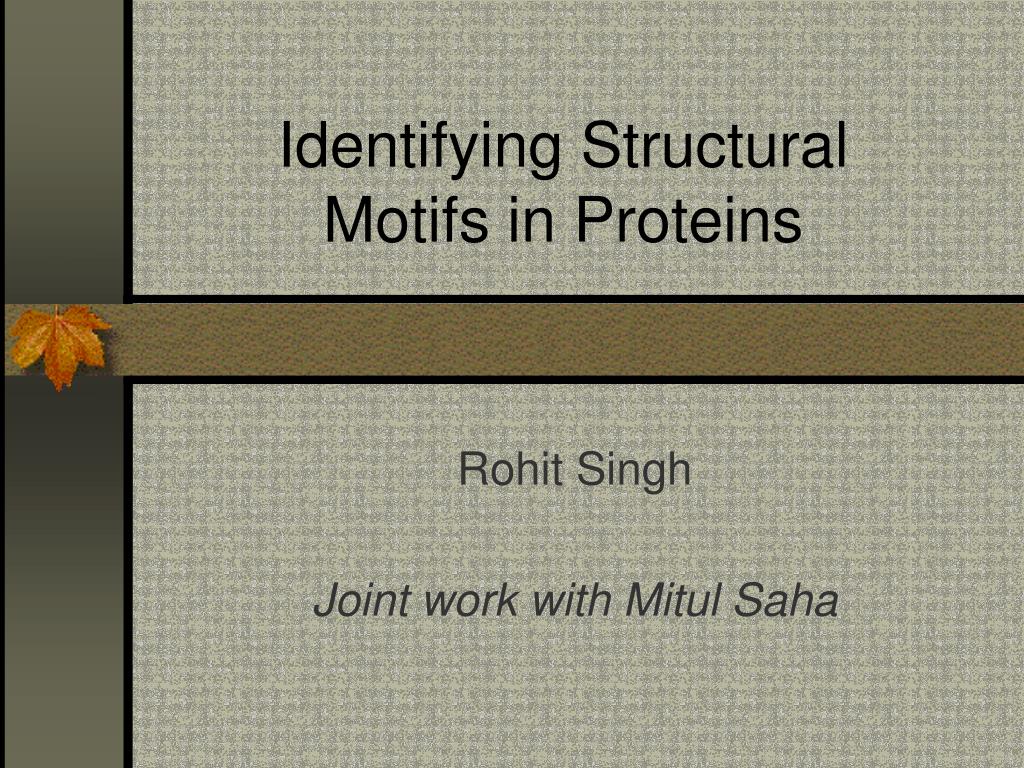 PPT - Identifying Structural Motifs in Proteins PowerPoint Presentation ...