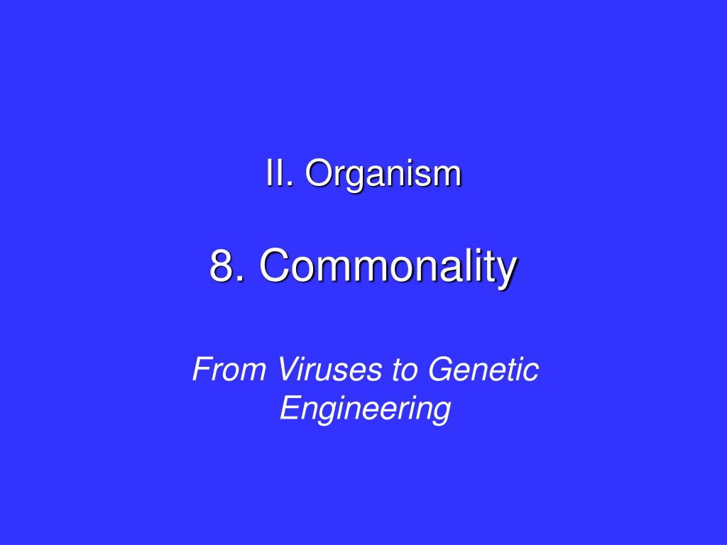 PPT - 8. Commonality PowerPoint Presentation, free download - ID:58438