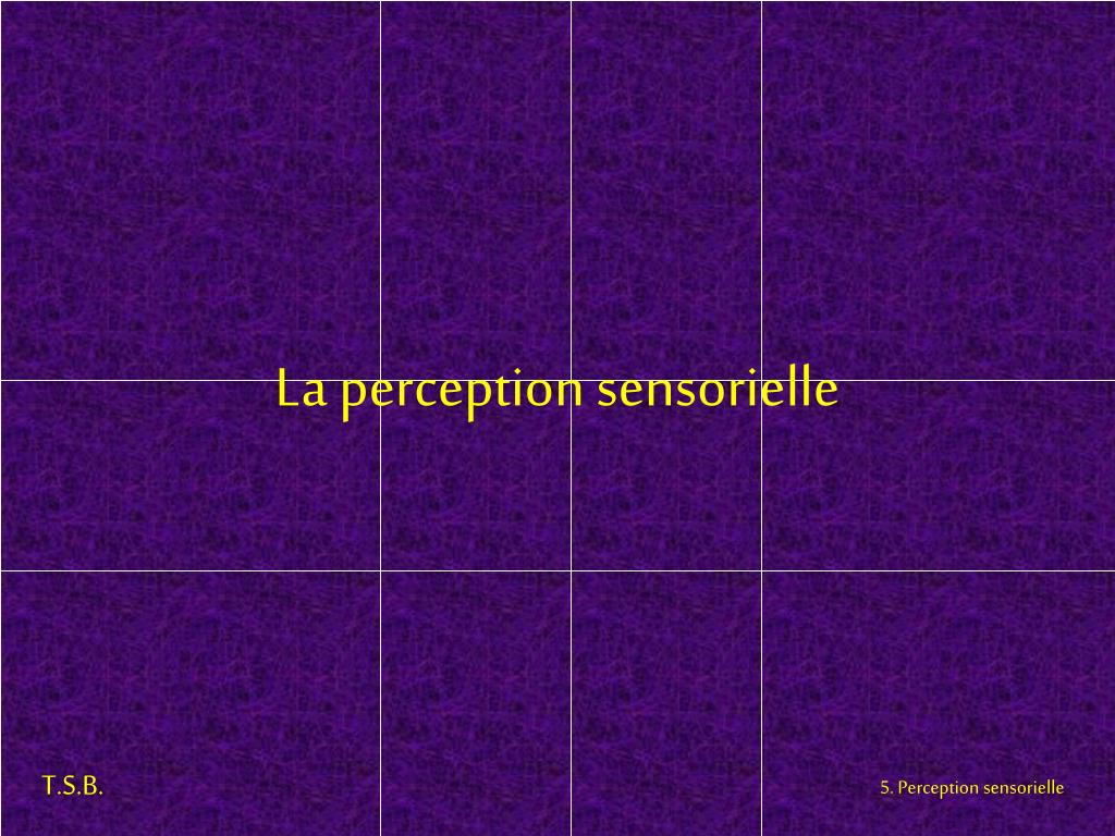 PPT - La perception sensorielle PowerPoint Presentation, free download ...