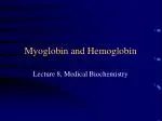 PPT - Example of Tertiary and Quaternary Structure of Protein Myoglobin ...