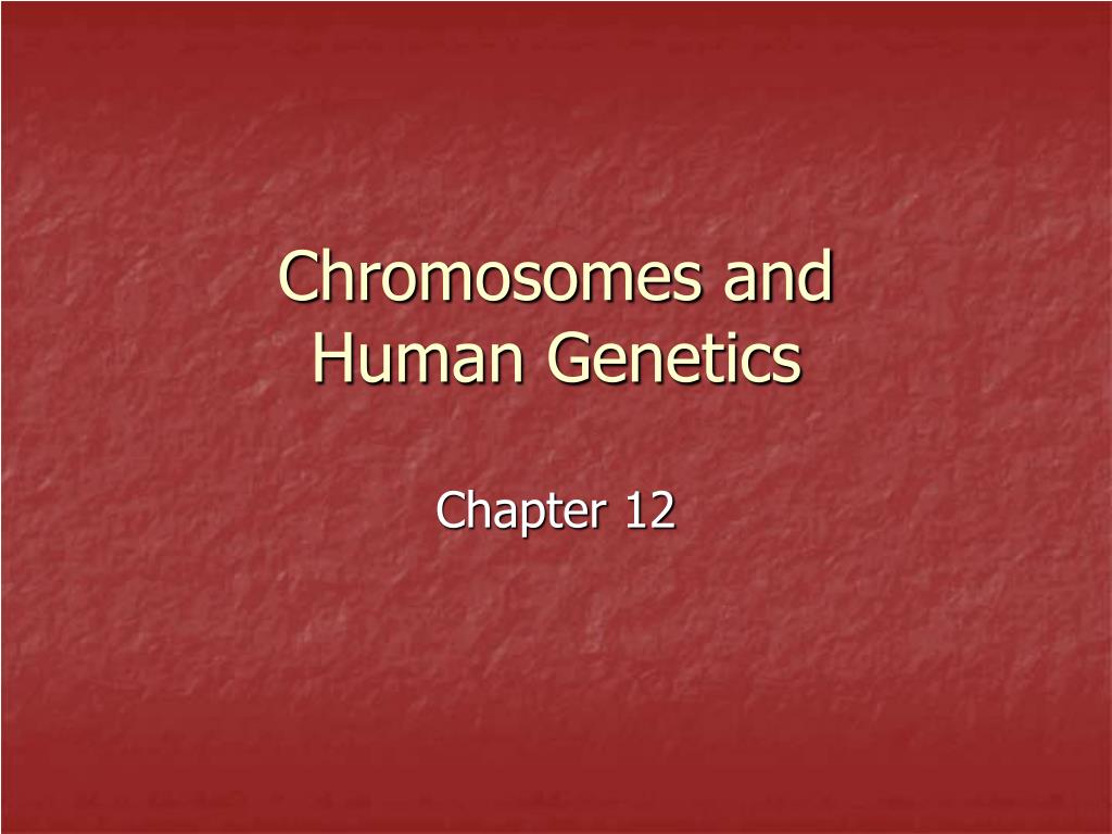 PPT - Chromosomes and Human Genetics PowerPoint Presentation, free ...