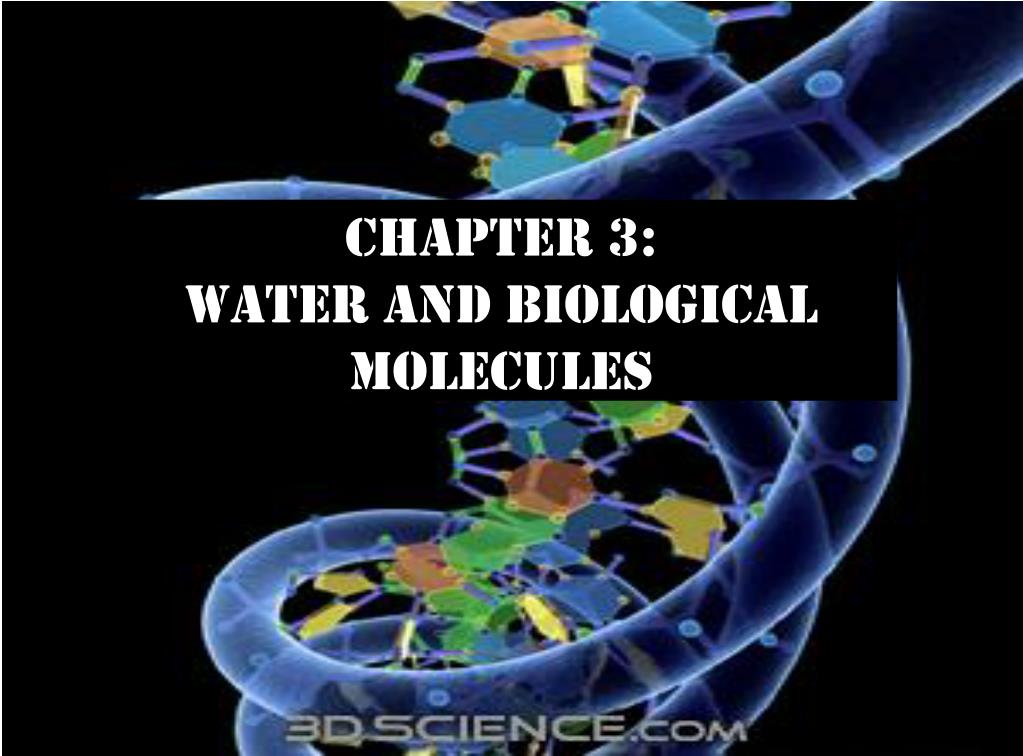 PPT - Chapter 3: Water and Biological Molecules PowerPoint Presentation ...