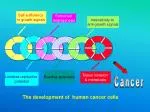 PPT - Implementing the Self-Sufficiency Matrix PowerPoint Presentation ...