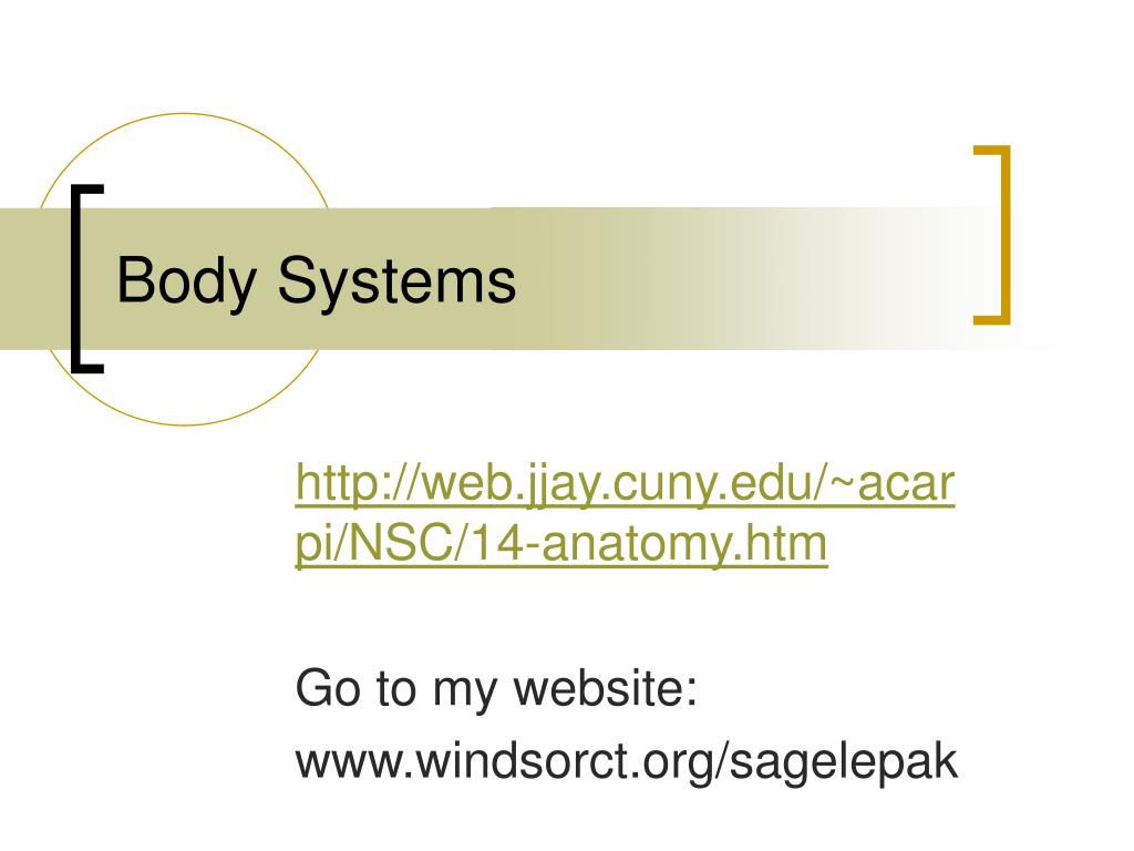 PPT - Body Systems PowerPoint Presentation, free download - ID:58792