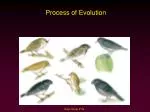 PPT - The Process of Evolution PowerPoint Presentation, free download ...