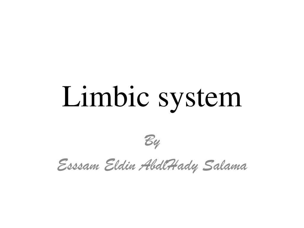 PPT - Limbic system PowerPoint Presentation, free download - ID:589784