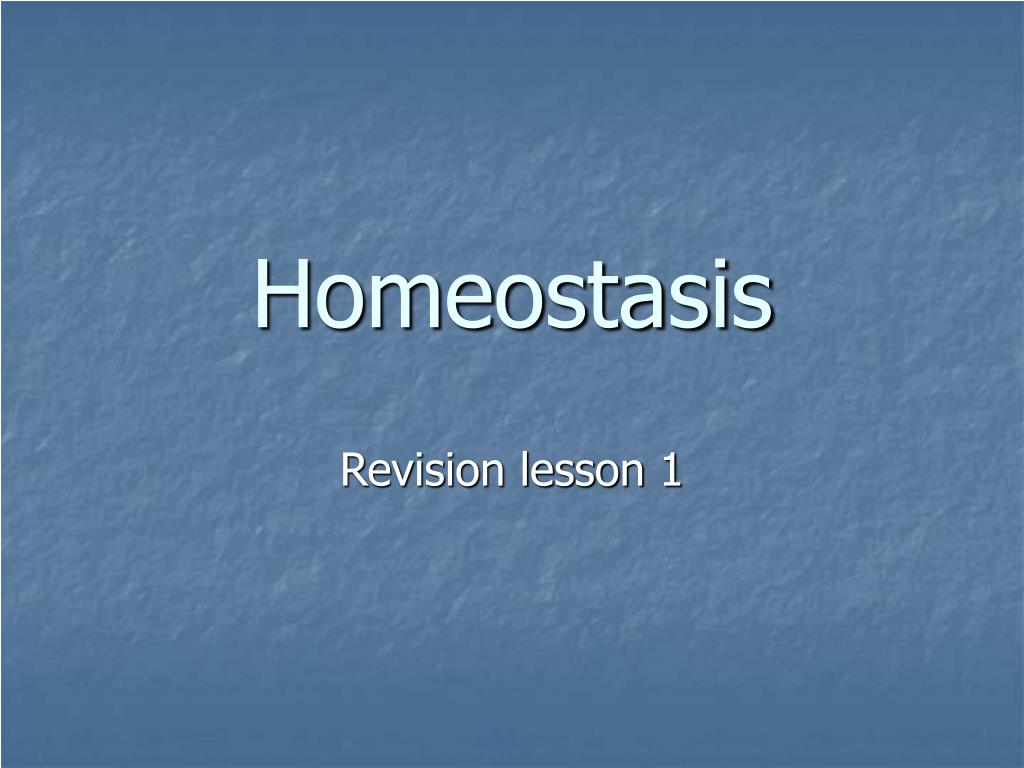 PPT - Homeostasis PowerPoint Presentation, free download - ID:589791