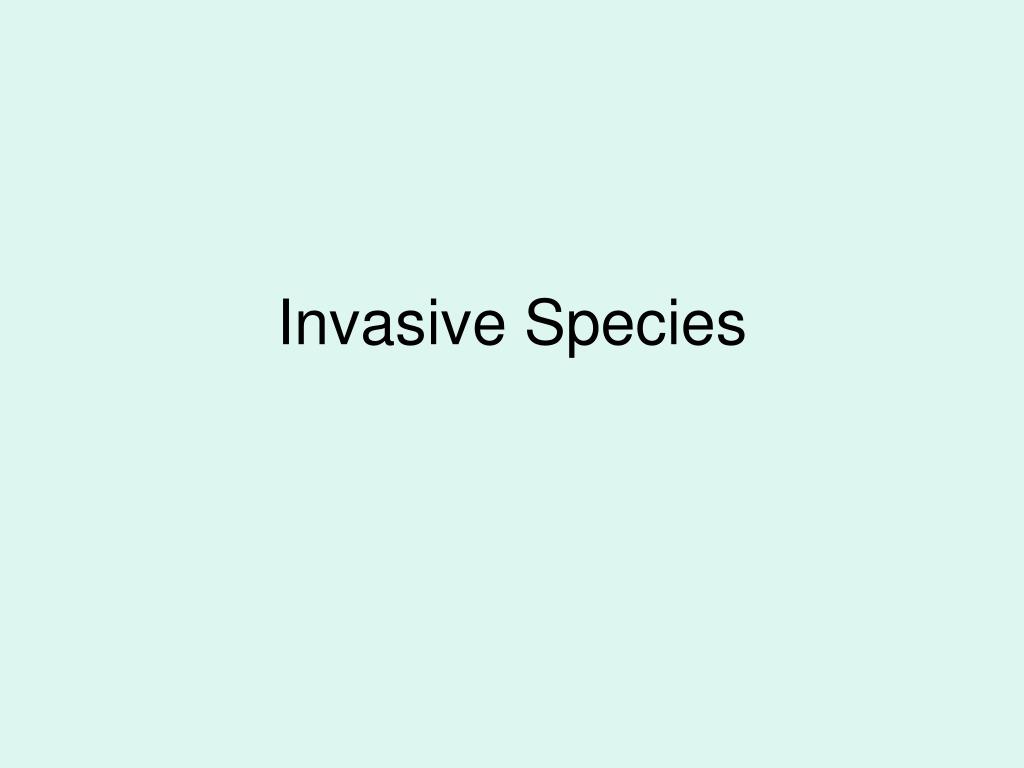 PPT - Invasive Species PowerPoint Presentation, free download - ID:592615