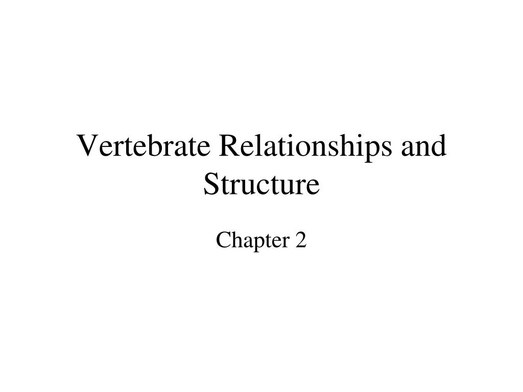 PPT - Vertebrate Relationships and Structure PowerPoint Presentation ...