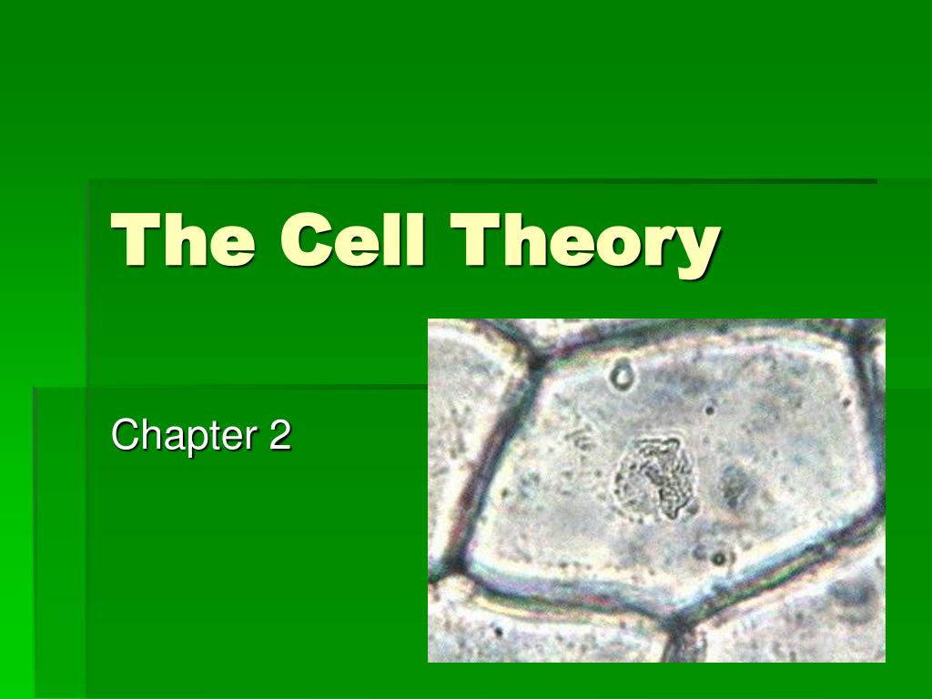 PPT - The Cell Theory PowerPoint Presentation, free download - ID:593163
