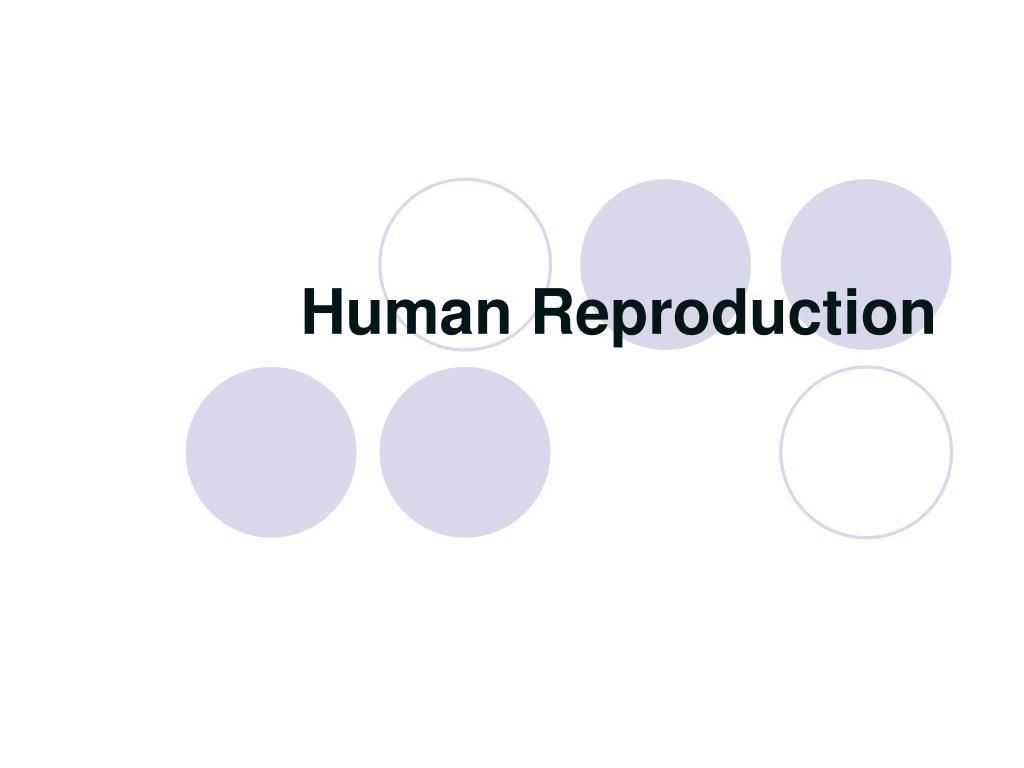 PPT - Human Reproduction PowerPoint Presentation, free download - ID:593378