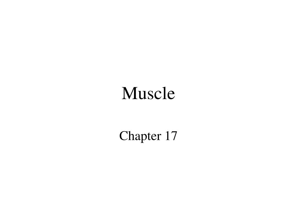 PPT - Muscle PowerPoint Presentation, free download - ID:593542