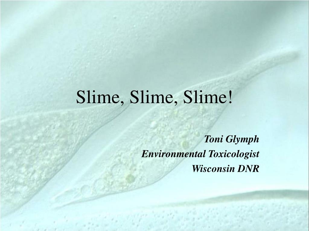 PPT - Slime, Slime, Slime! PowerPoint Presentation, free download - ID ...