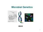 PPT - Microbial Genetics PowerPoint Presentation, free download - ID ...
