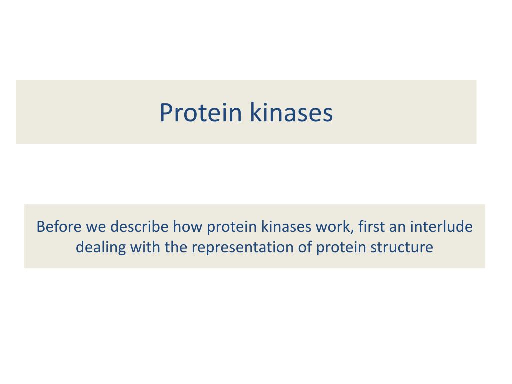 PPT - Protein kinases PowerPoint Presentation, free download - ID:596934
