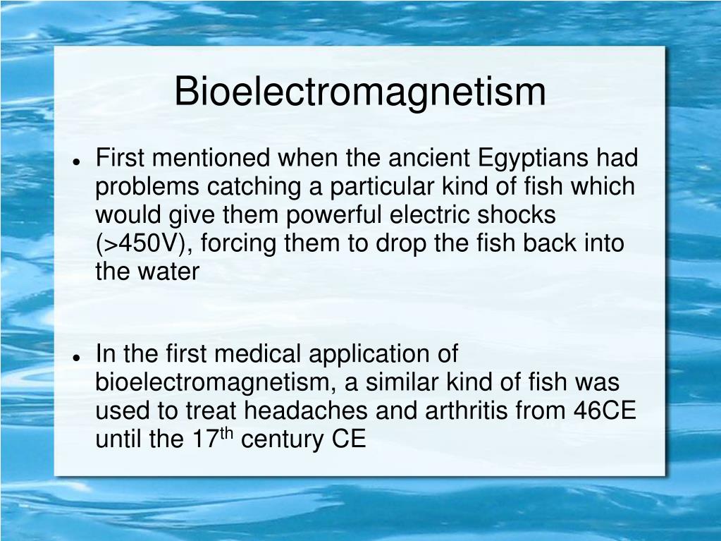 PPT - Bioelectromagnetism PowerPoint Presentation, free download - ID ...