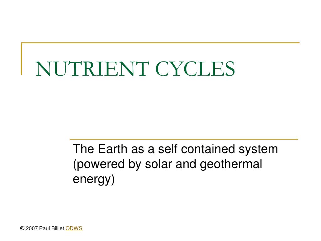 PPT - NUTRIENT CYCLES PowerPoint Presentation, free download - ID:598701