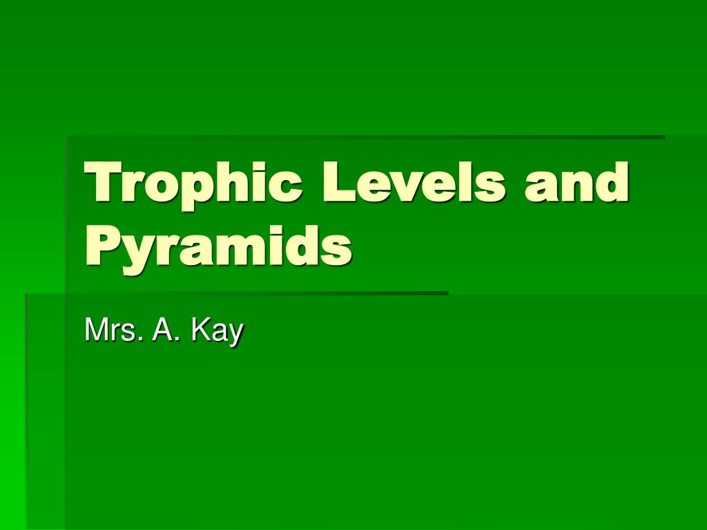 PPT - Trophic Levels and Pyramids PowerPoint Presentation, free ...