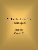 PPT - Molecular Techniques PowerPoint Presentation, free download - ID ...