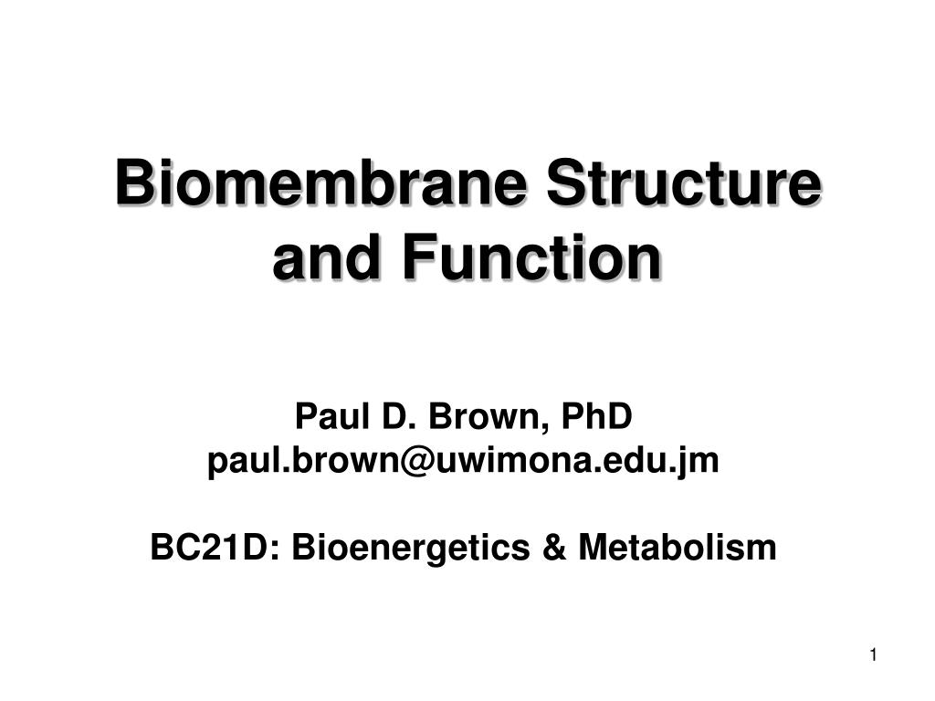 PPT - Biomembrane Structure and Function PowerPoint Presentation, free ...